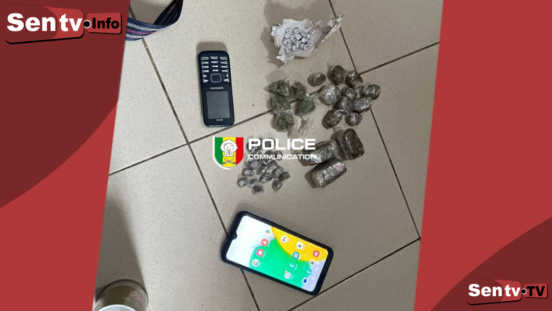 Trafic de drogue transcontinental : l’OCRTIS neutralise une filière ...